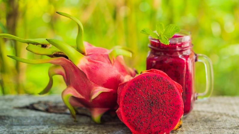 Ejder Meyvesi Hakkında Her Şey Faydaları ve Zararları Neler?| Alem Dergisi