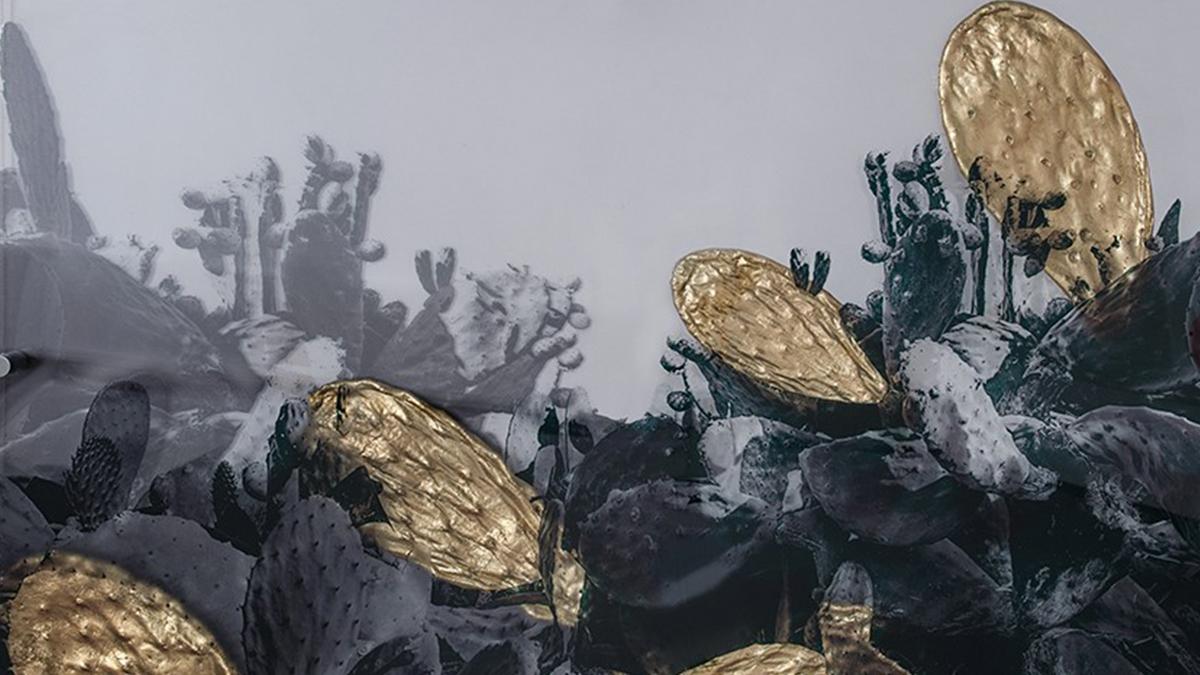 Lara Sayılgan'dan Doğa Fotoğrafçılığına Farklı Bir Yaklaşım| Alem Dergisi